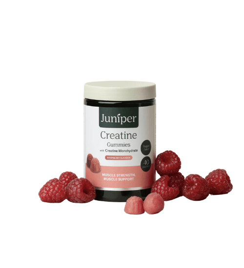 Juniper Creatine Gummies – TopDog Nutrition